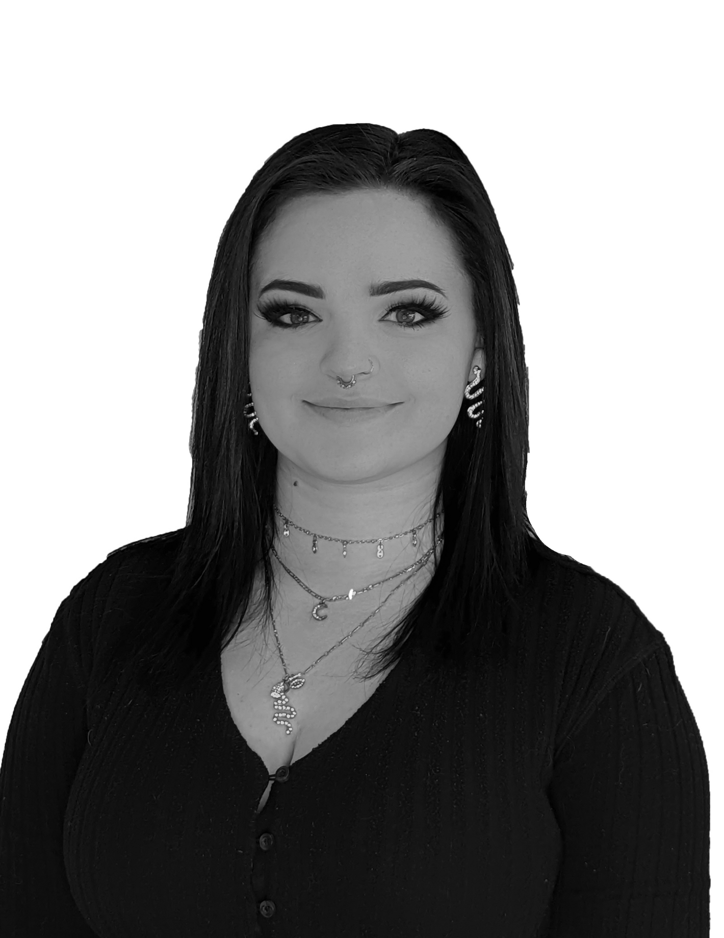 Artists – Sharky's Paradise